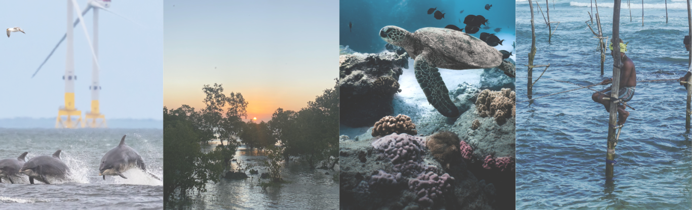 Publications | ESMAP